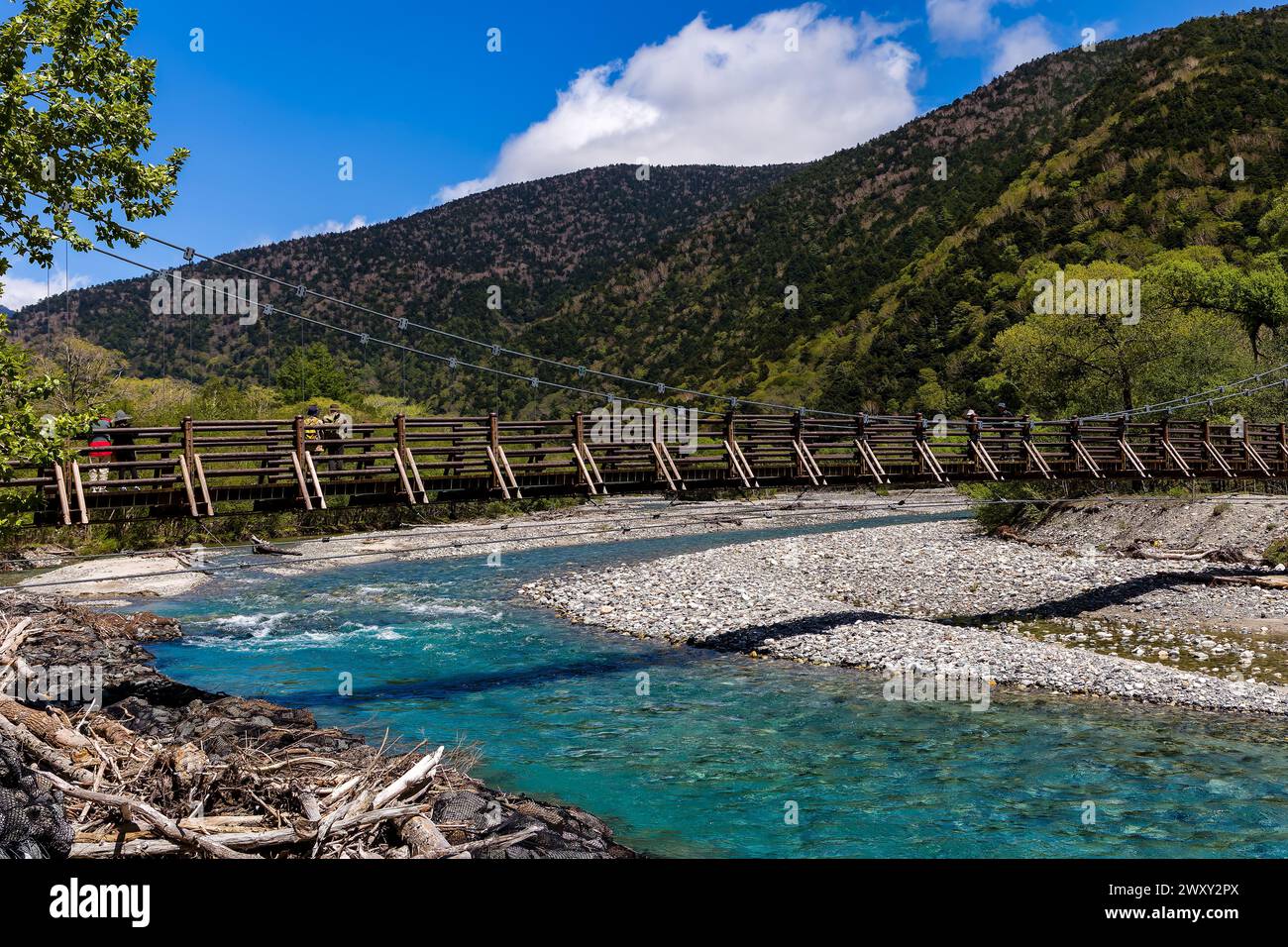 Hiking trails and a wooden suspension bridge over a clear fast flowing ...