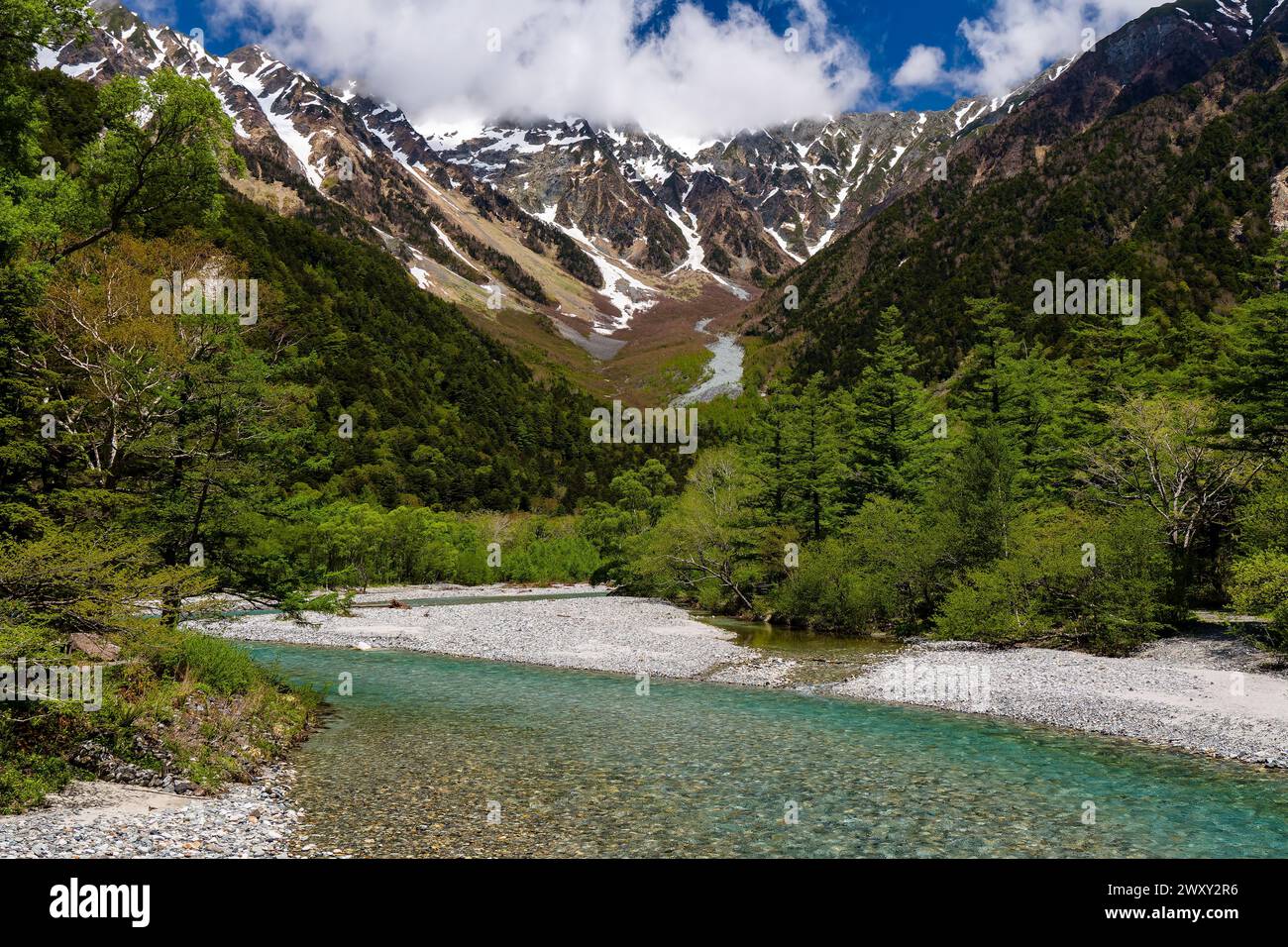Snow covered mountain peaks with a green forest and fast flowing river ...