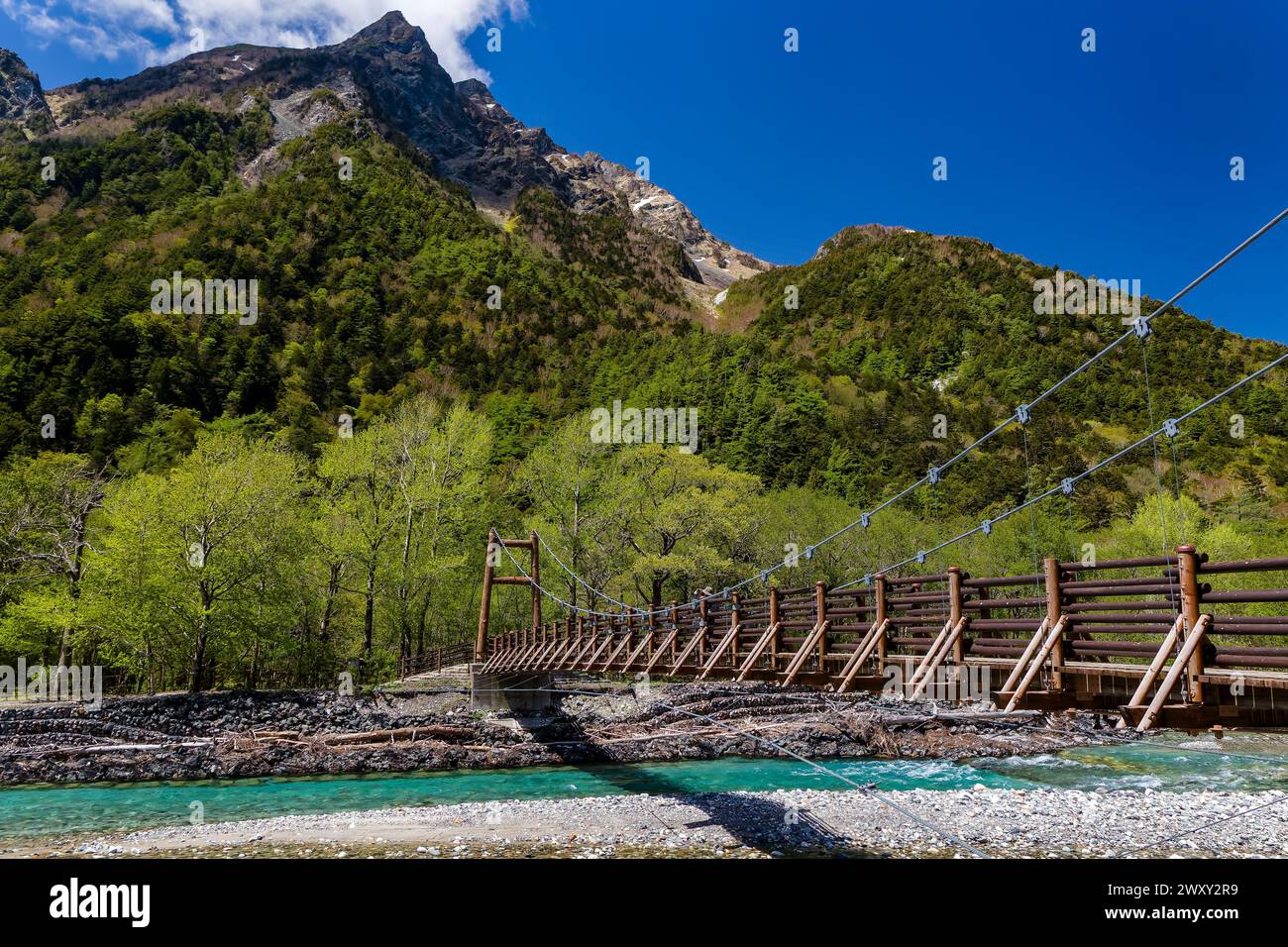 Wooden suspension bridge over a clear river surrounded by forest and ...