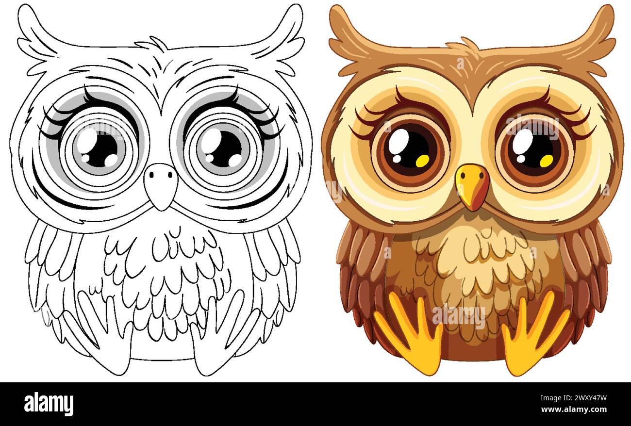 Two stylized owls, one colored and one line art Stock Vector Image ...