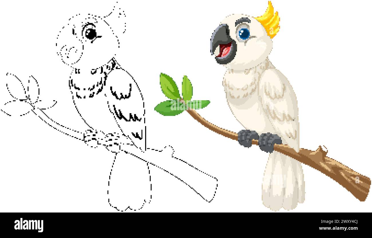 Two parrots, one colored and one outlined, on branches Stock Vector ...