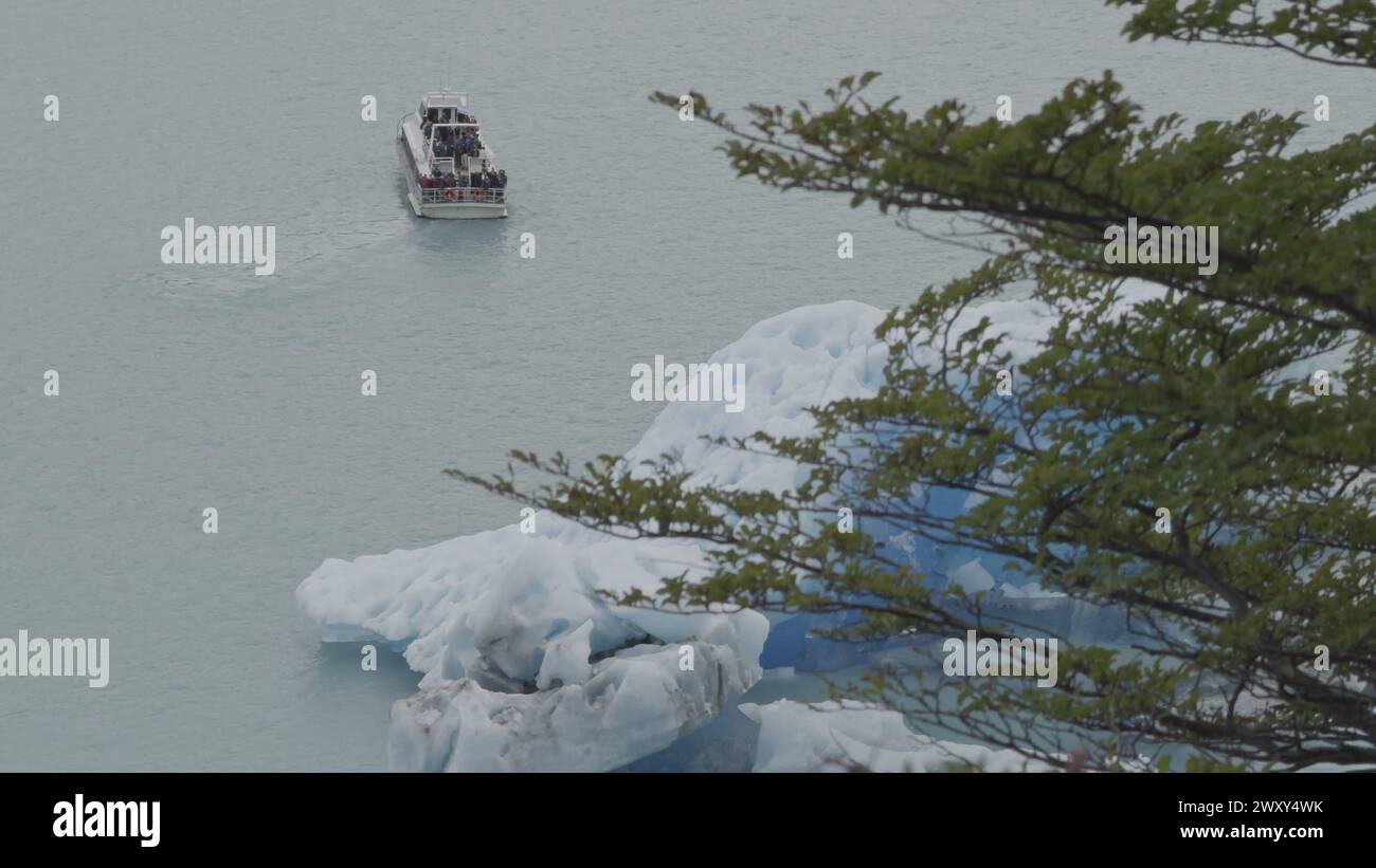 Tourist Boat Sailing by Iceberg with Wind-Swept Tree Branches Stock ...