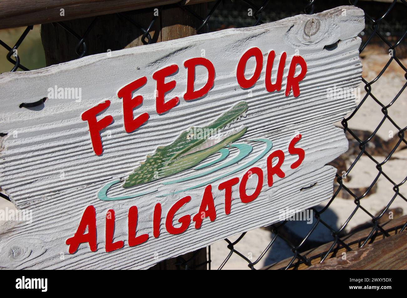 Feed our alligator wooden sign in Miami, located near a designated area ...