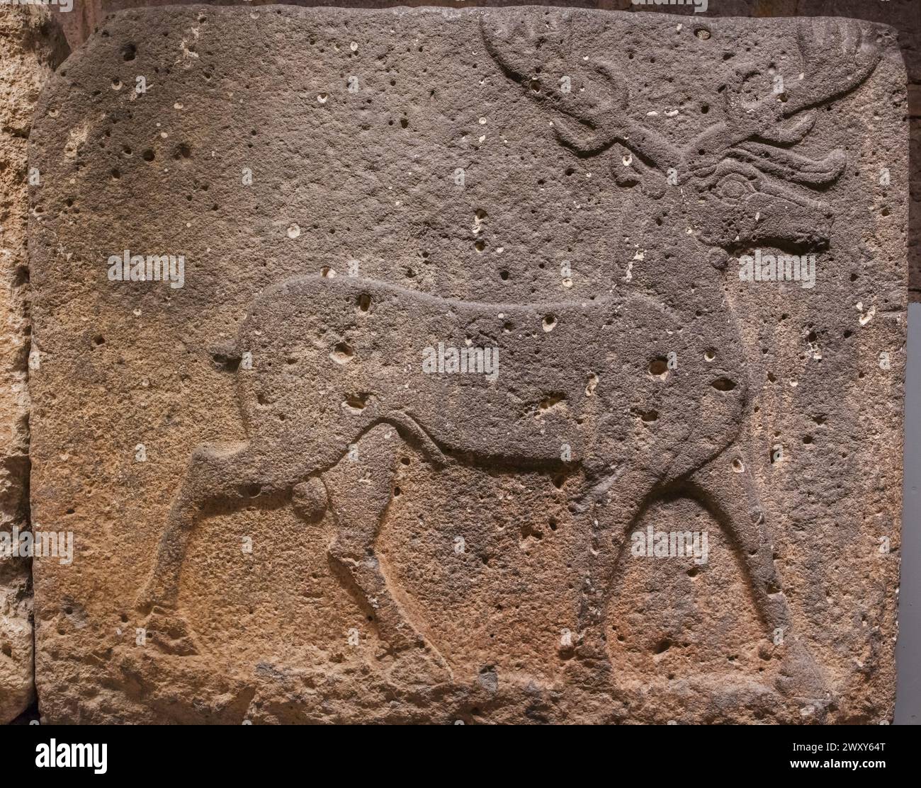 Relief with stag, 9th century BC, basalt, Museum of Anatolian ...