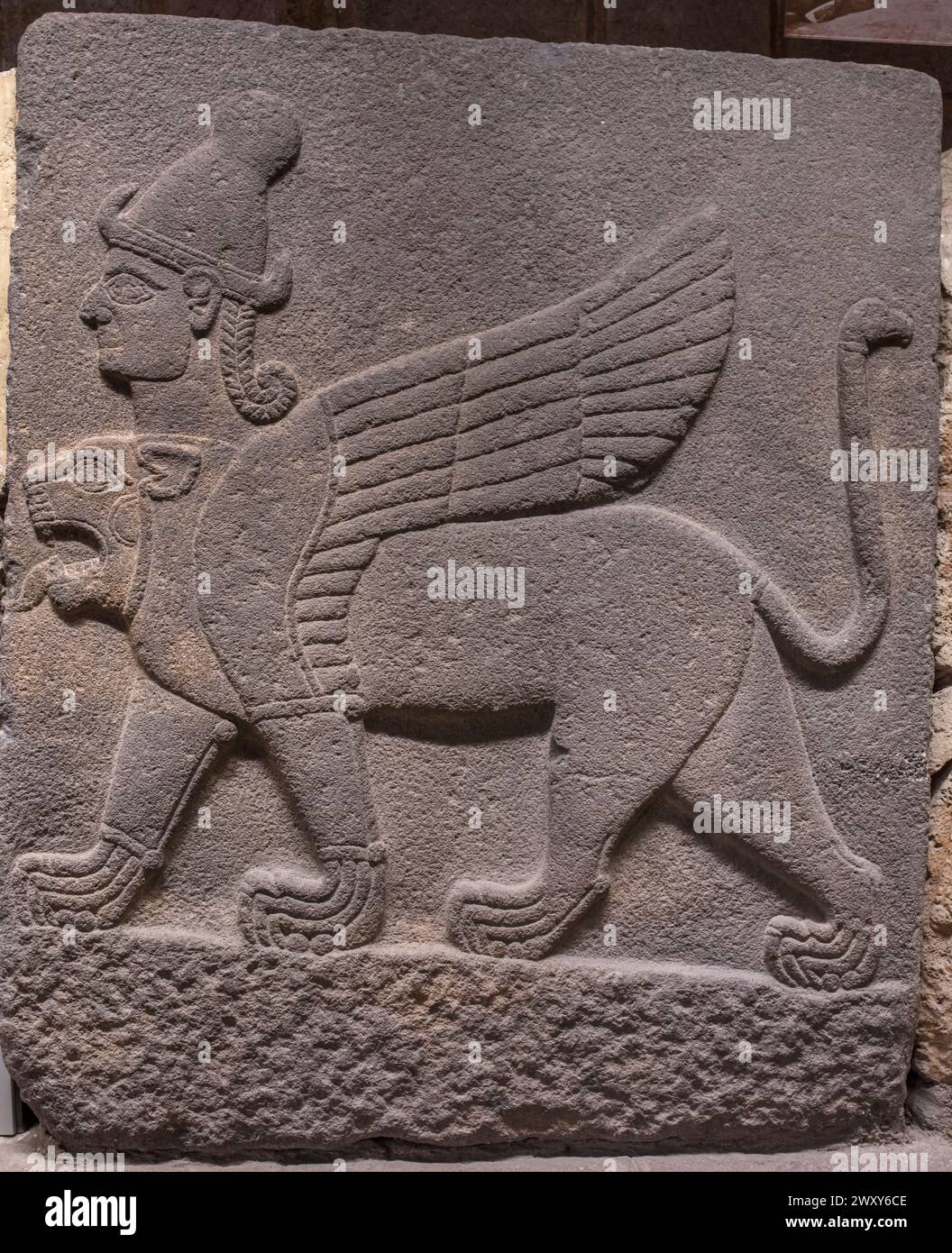 Relief with Sphinx, 9th century BC, basalt, Museum of Anatolian ...