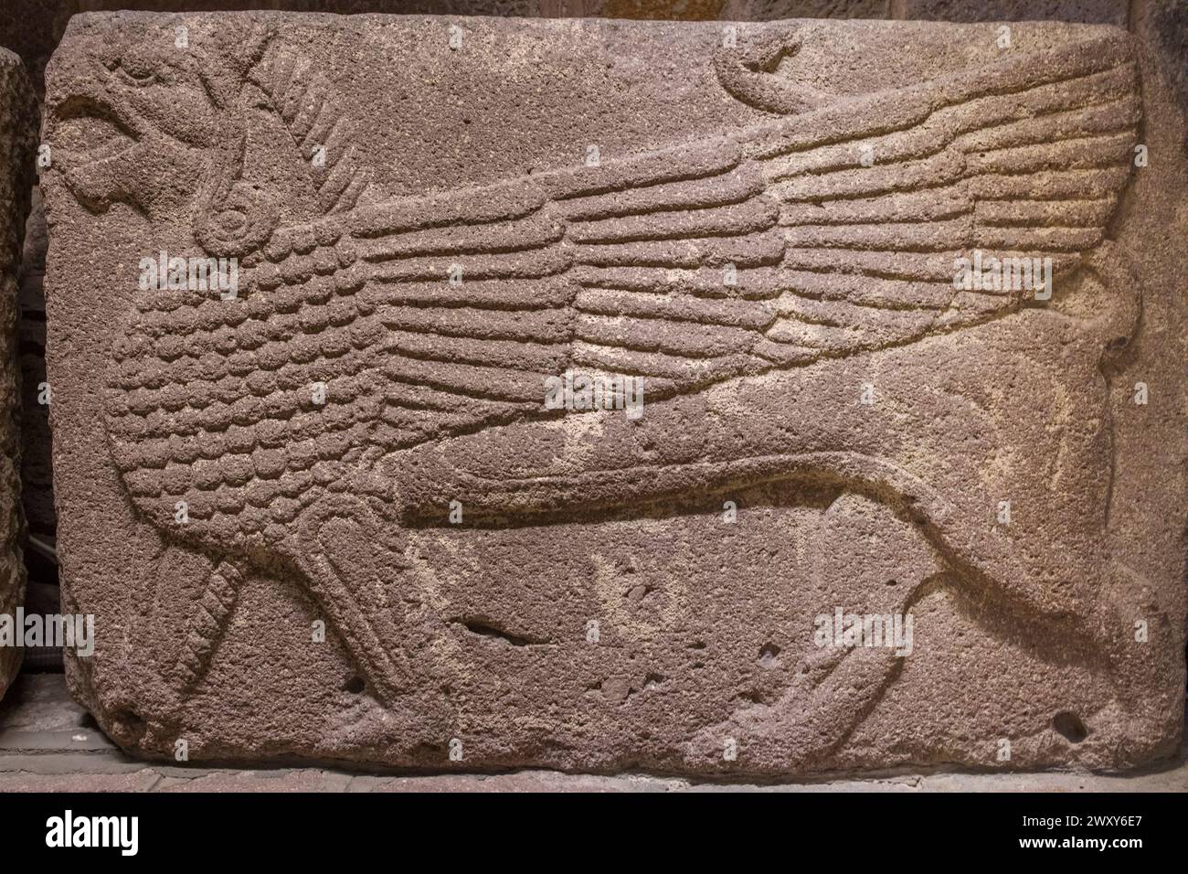 Relief with griffin, 9th century, basalt, Museum of Anatolian ...