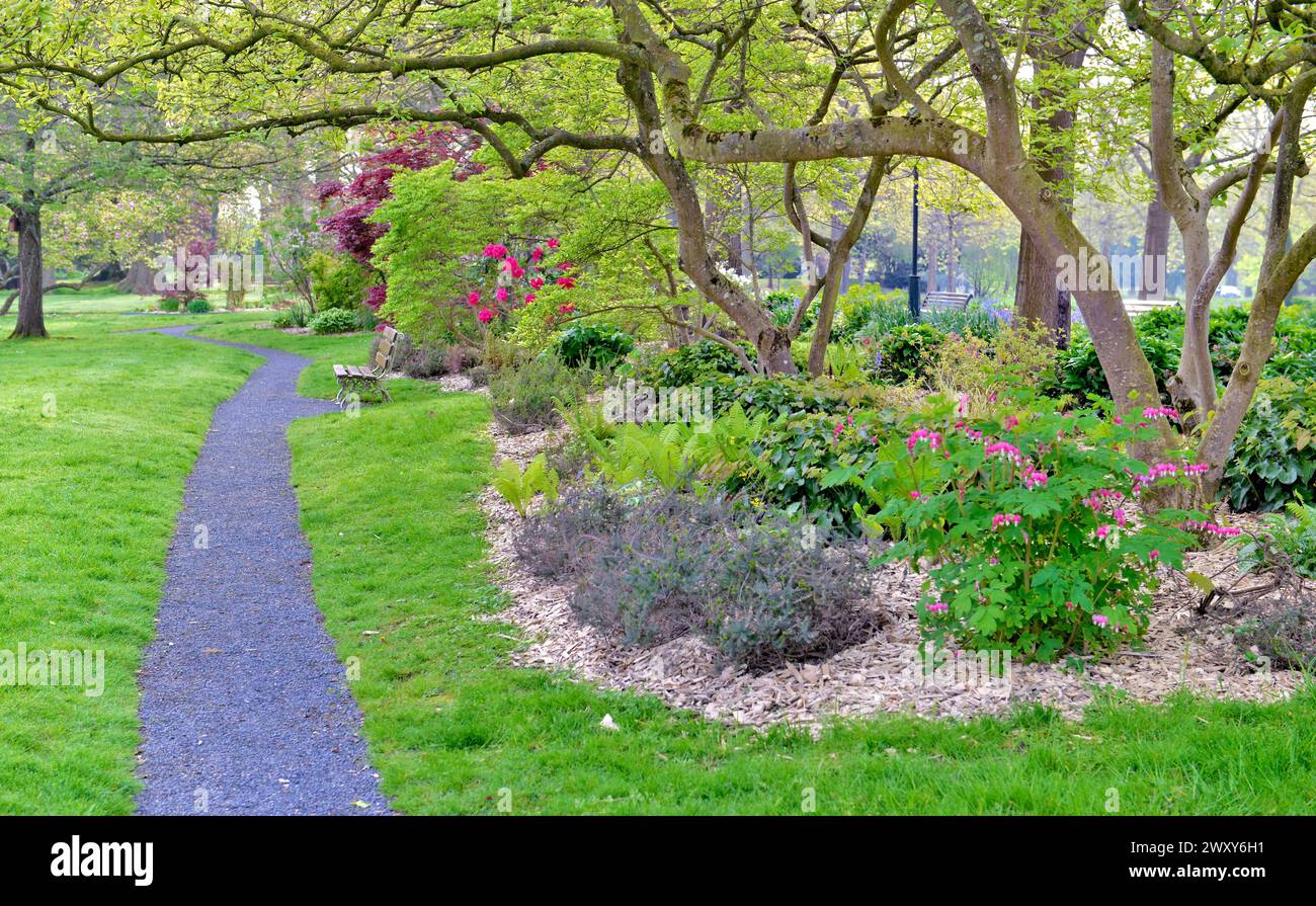 Alley crossing hi-res stock photography and images - Alamy