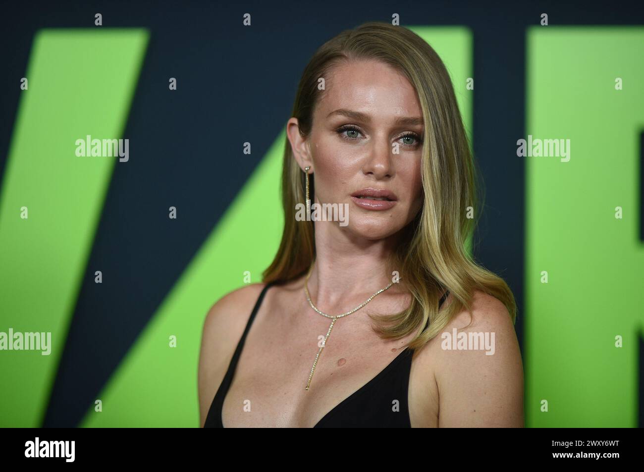 Elizabeth Gilpin attends a special screening of A24's "Civil War" at ...