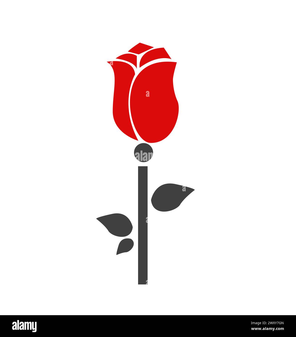 Beautiful red rose up close Stock Vector Images - Alamy