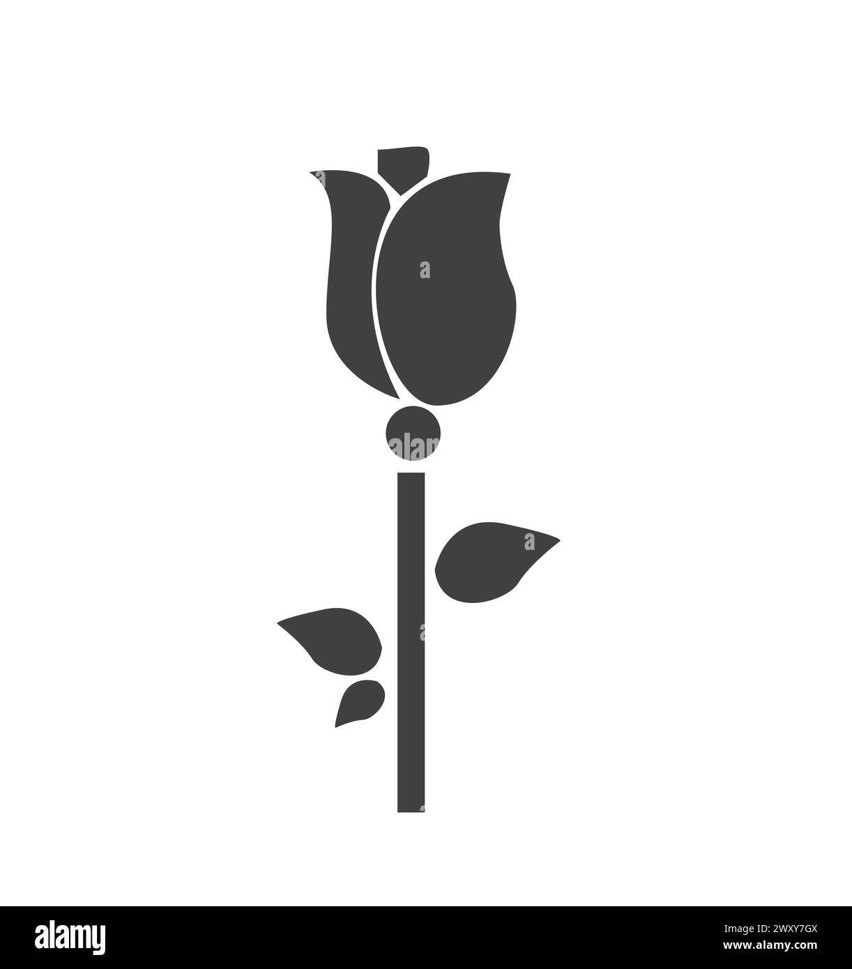 Vector illustration of single rose Stock Vector Image & Art - Alamy