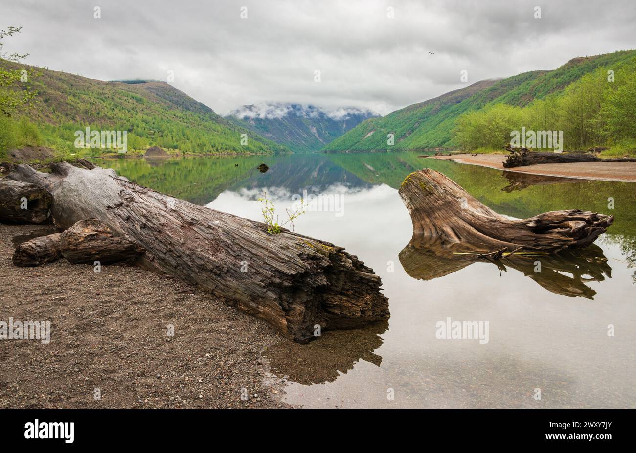 The Spirit Lake at Mount St. Helens, Stratovolcano in Skamania County ...