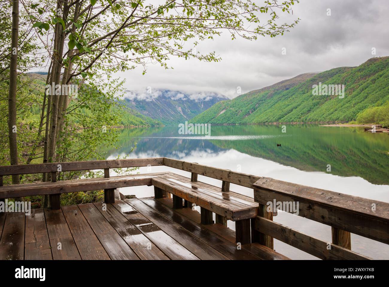 The Spirit Lake at Mount St. Helens, Stratovolcano in Skamania County ...
