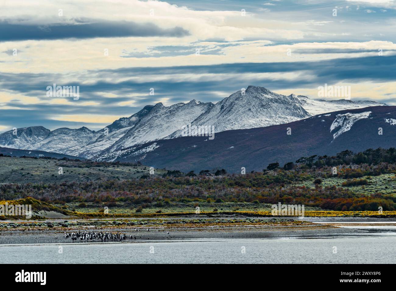 Sailing through the Beagle Channel, at the southern tip of South ...