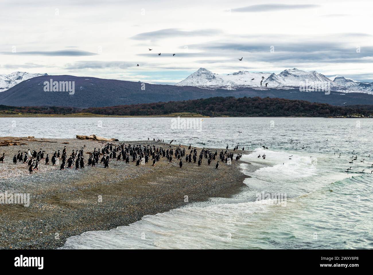 Sailing through the Beagle Channel, at the southern tip of South ...
