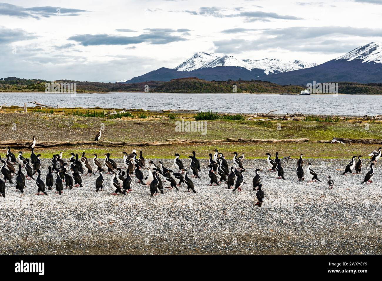 Sailing through the Beagle Channel, at the southern tip of South ...