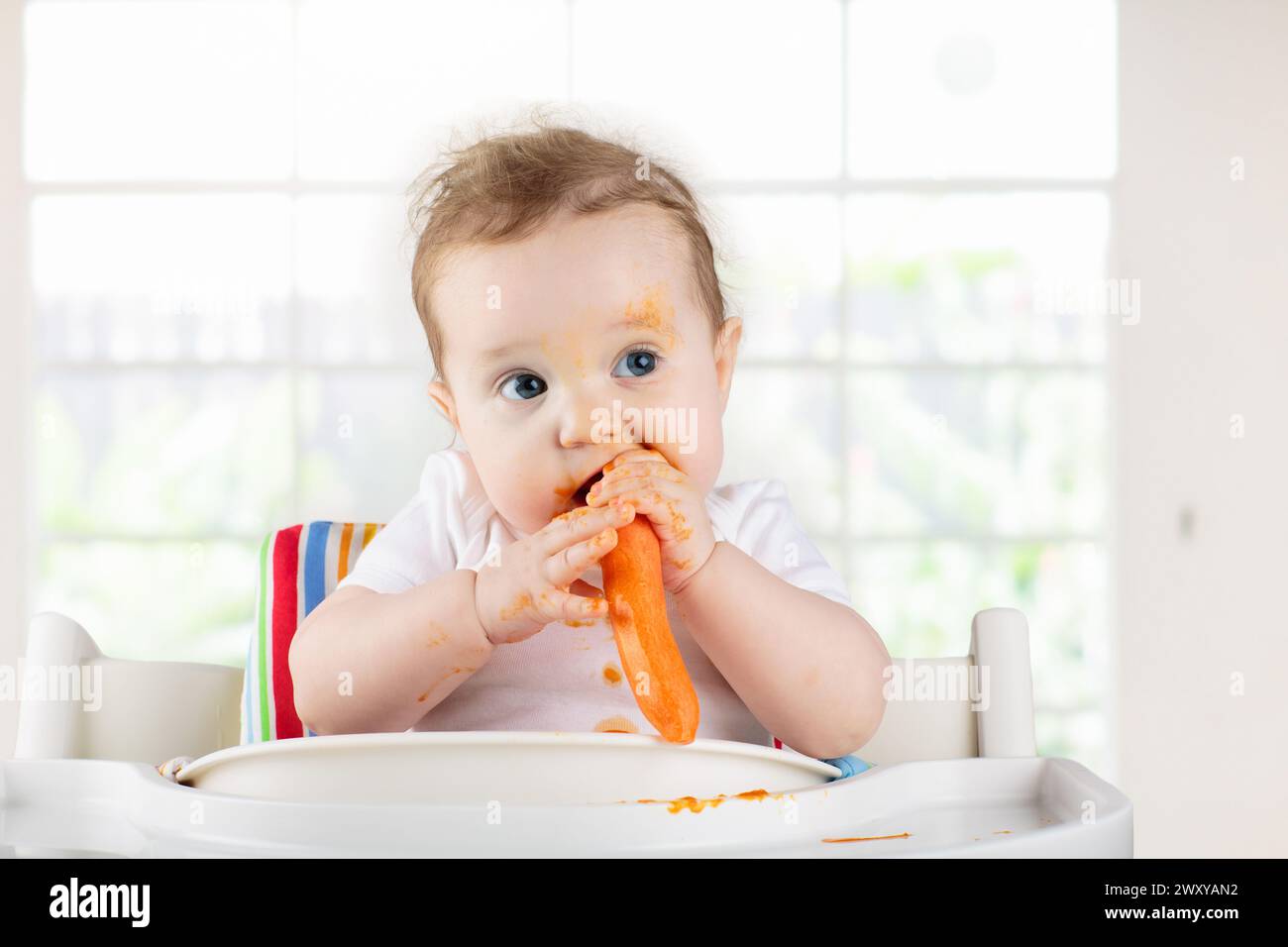 Baby eating vegetables sitting in white high chair. Solid food for ...