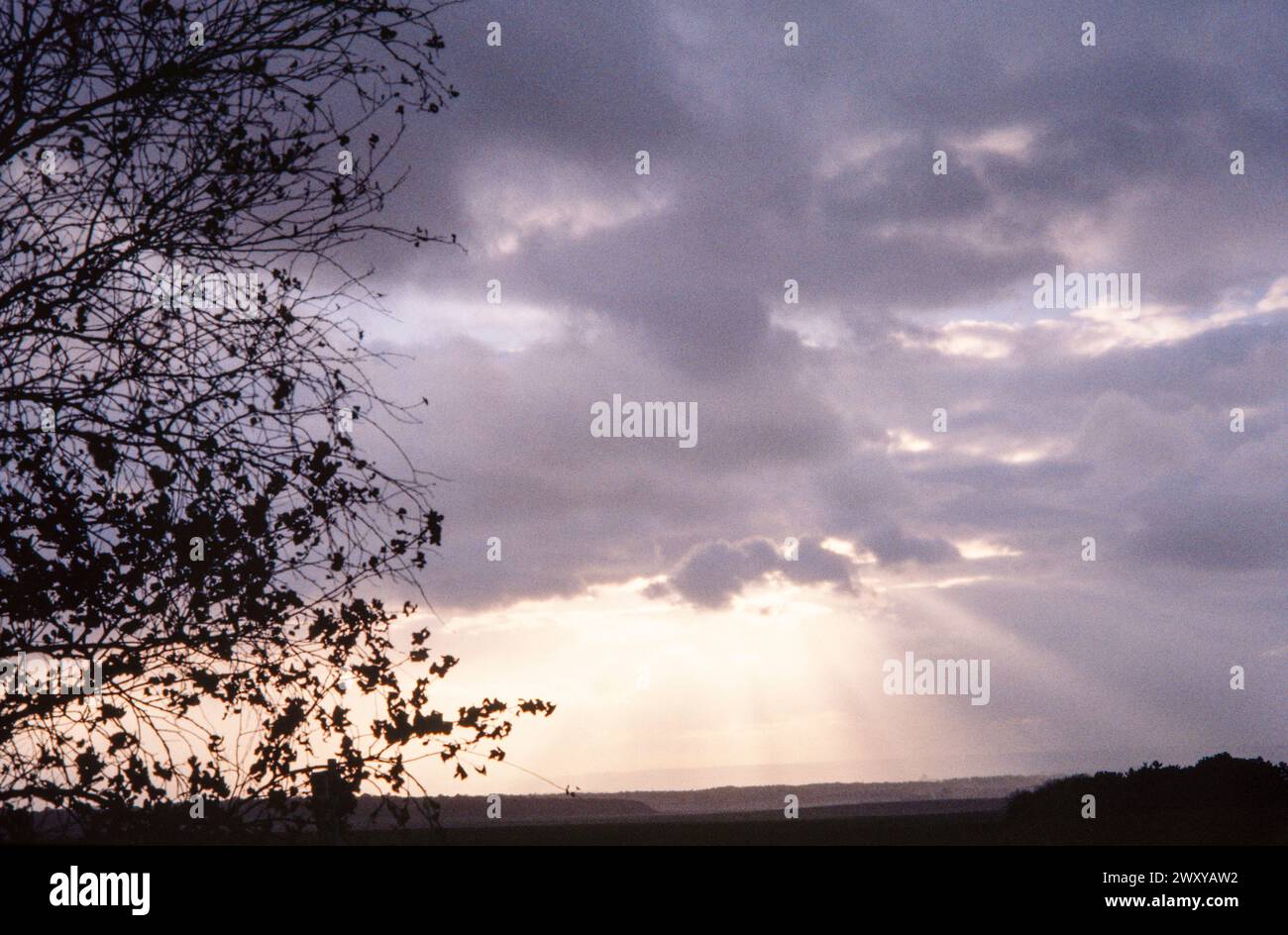 Colourful sky with sunset clouds with crepuscular rays of light Stock ...