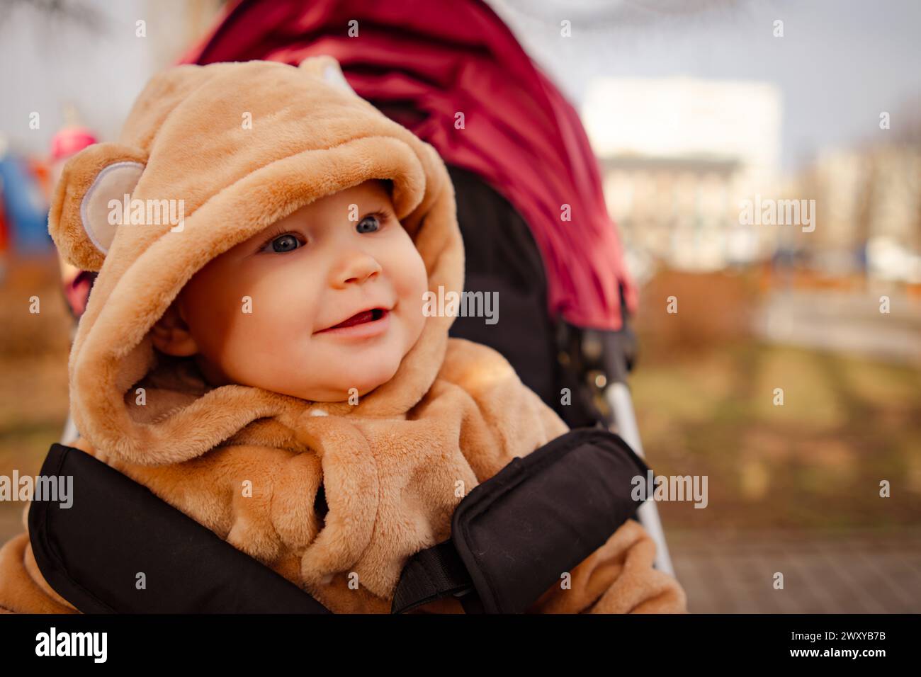 A small child dressed in a bear costume playfully rides in a stroller ...