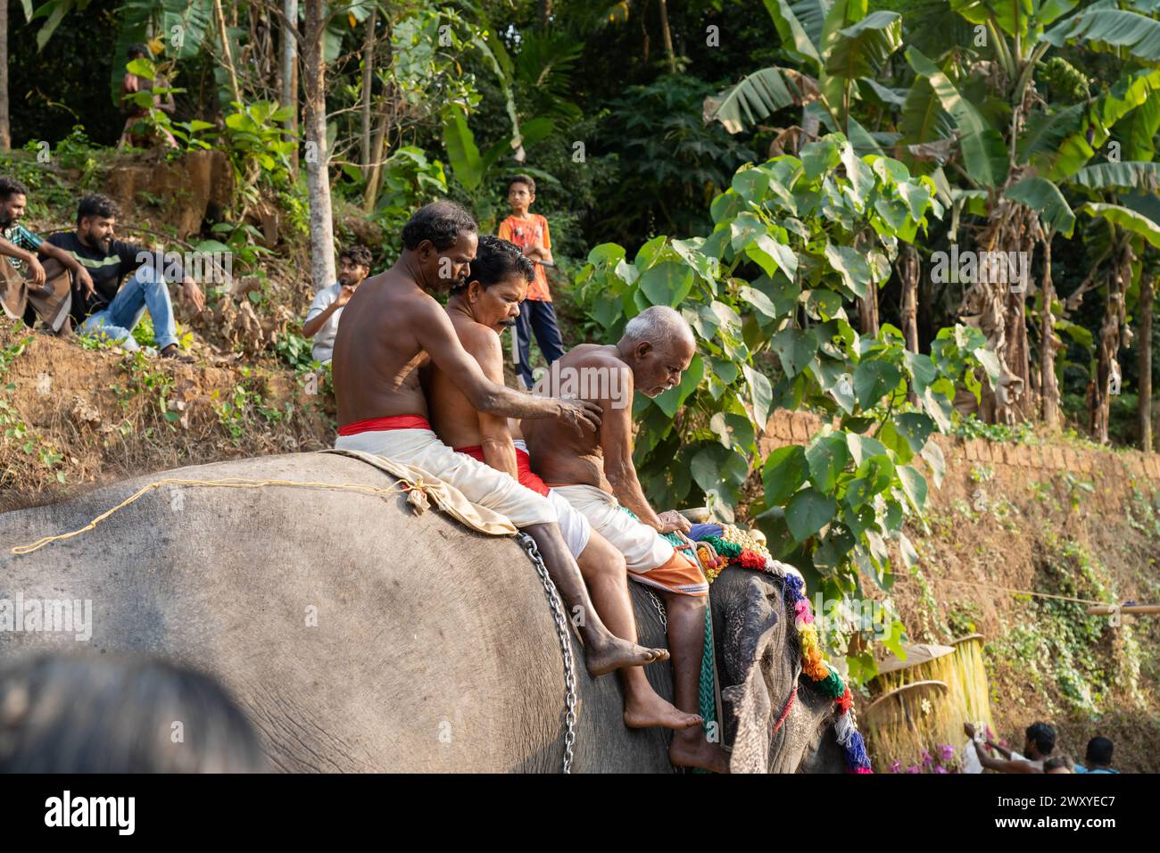 Mattathur, 27, March 2024: Dever temple festival celebration, elephant ...
