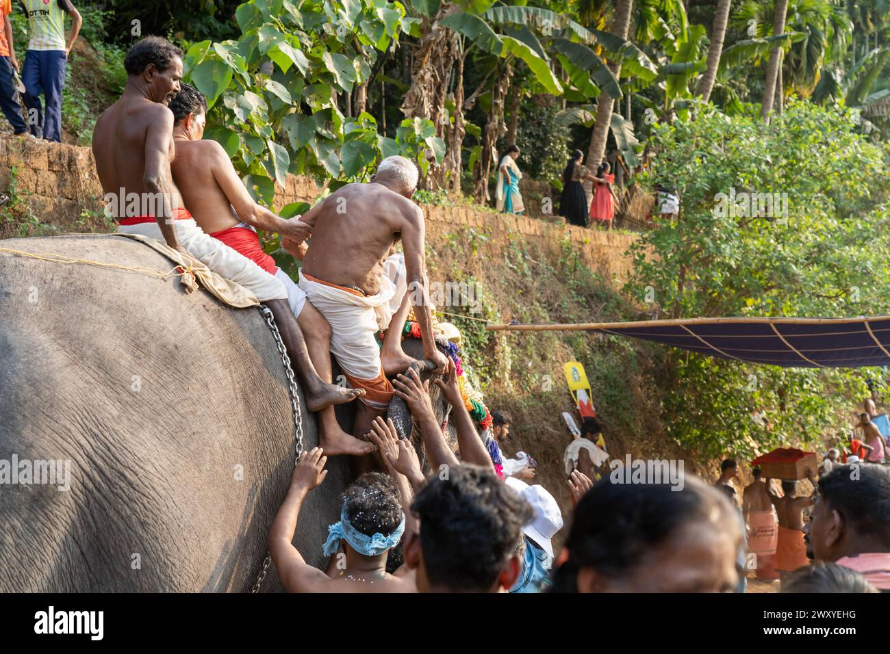 Mattathur, 27, March 2024: Dever temple festival celebration, elephant ...
