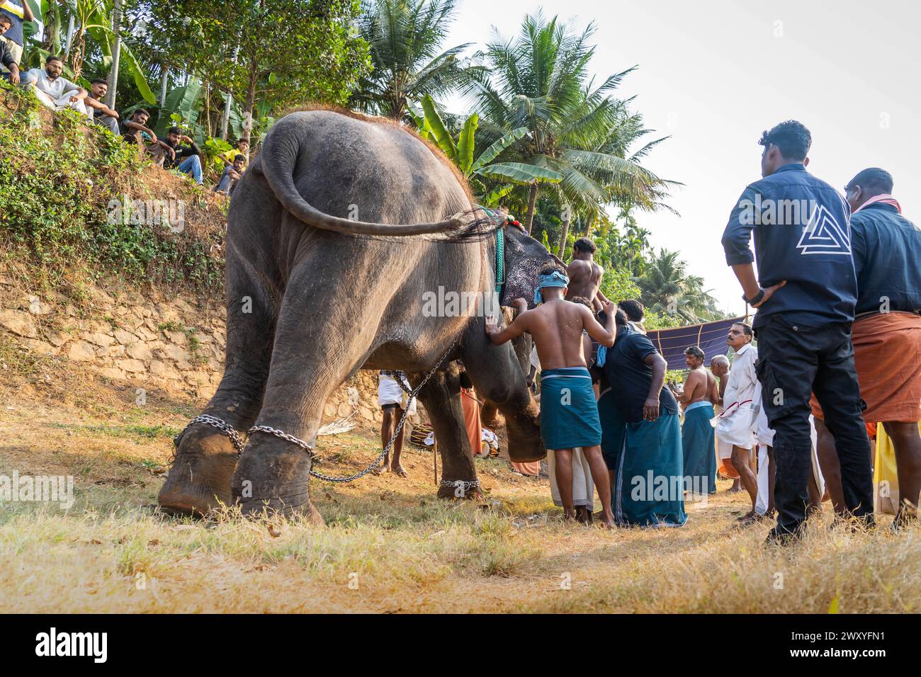 Mattathur, 27, March 2024: Dever temple festival celebration, elephant ...
