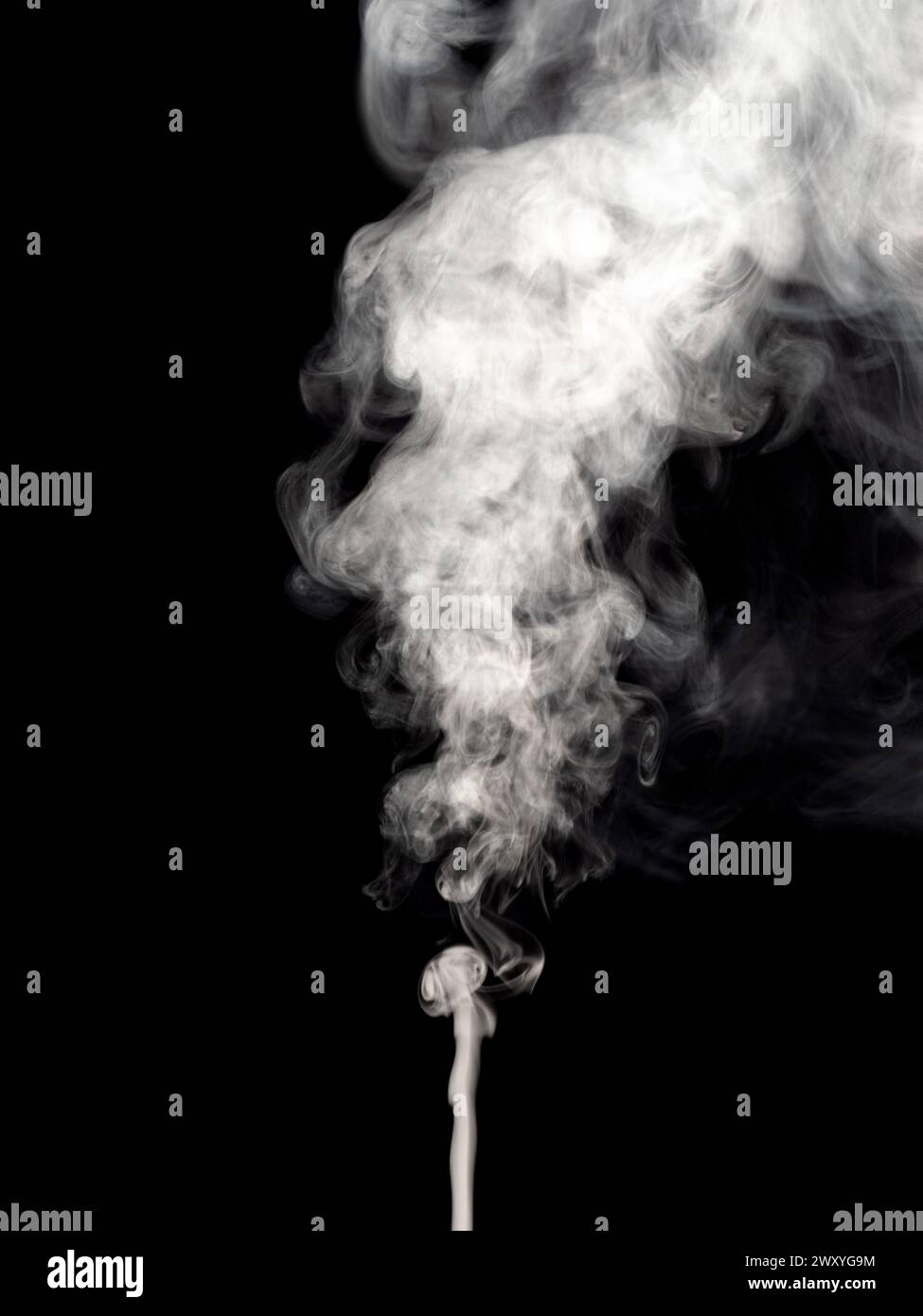 A stream of white smoke streams and rises up in lush tubers isolated on ...