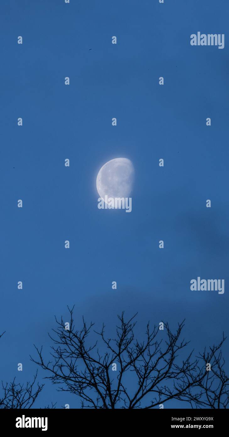 Moonrise night nighttime hi-res stock photography and images - Alamy