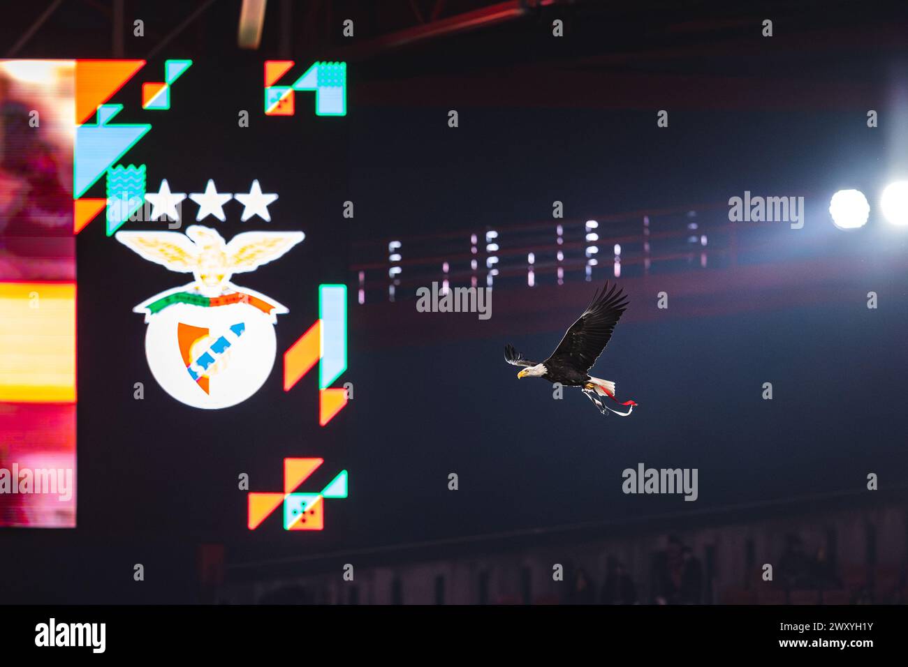 Portuguese mascot hi-res stock photography and images - Alamy