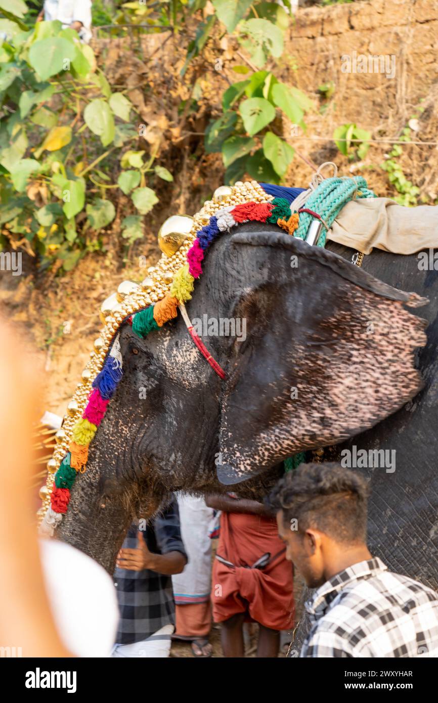 Mattathur, 27, March 2024: Dever temple festival celebration, elephant ...