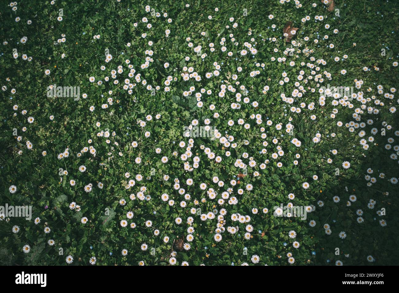 Spring around the corner hi-res stock photography and images - Alamy