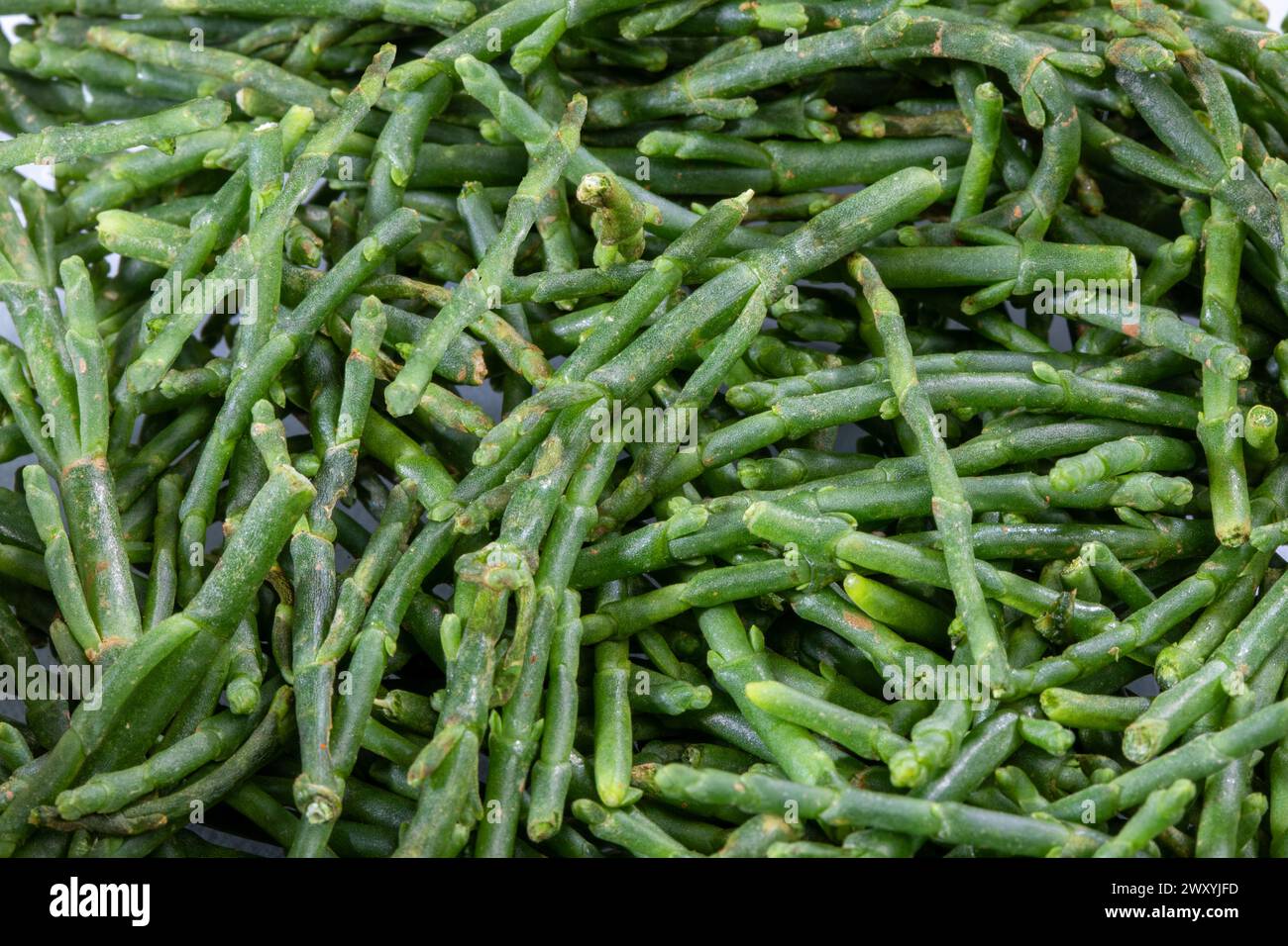 Edible marsh samphire hi-res stock photography and images - Alamy