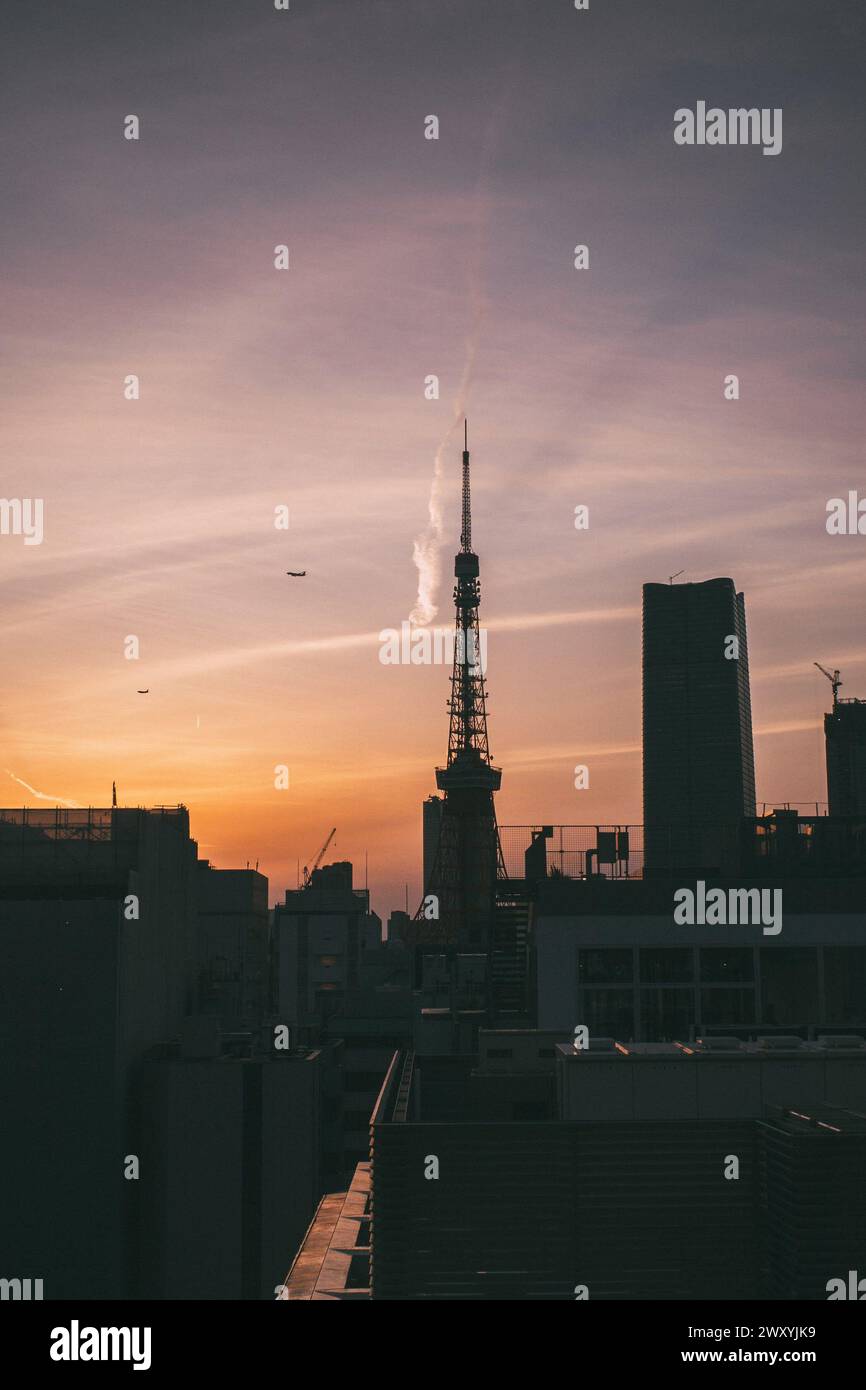 Pink tokyo tower hi-res stock photography and images - Alamy