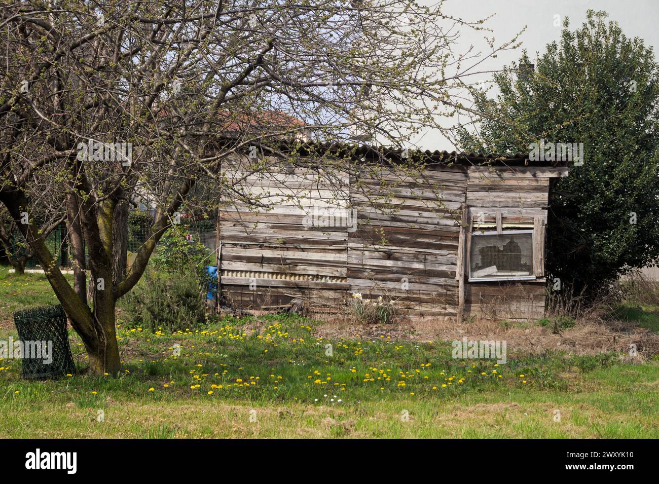 Rundown shed hi-res stock photography and images - Alamy