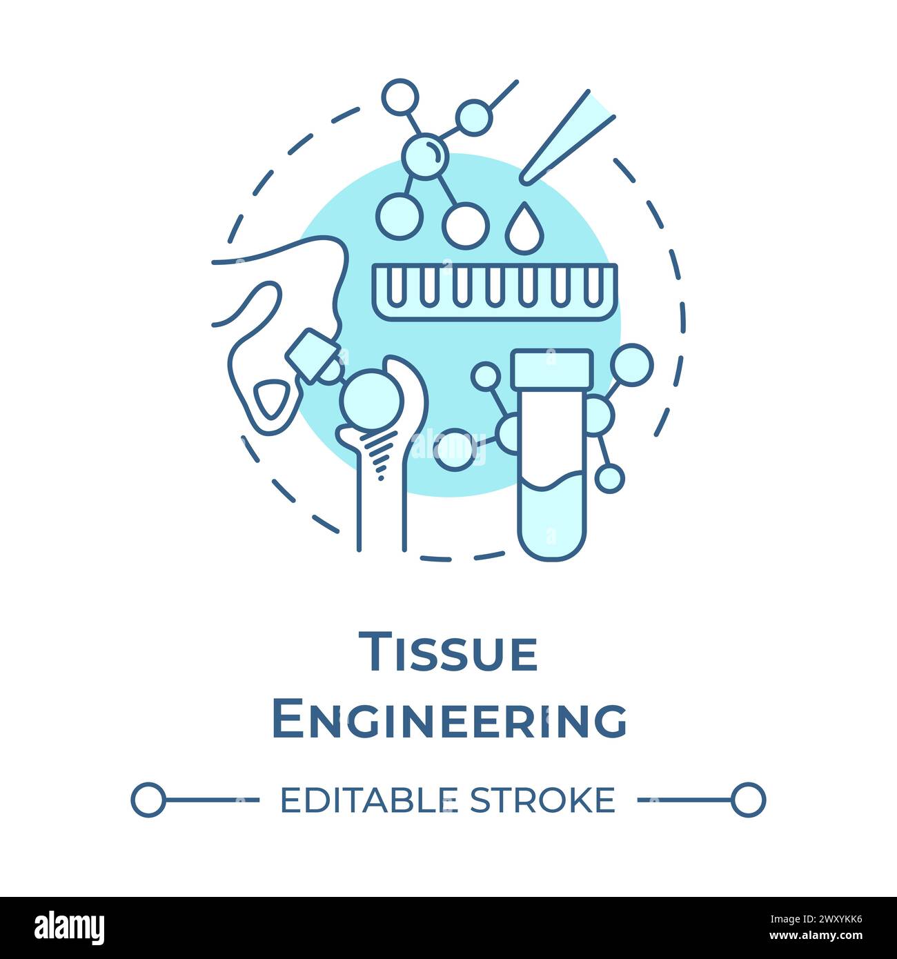 Tissue engineering Stock Vector Images - Alamy