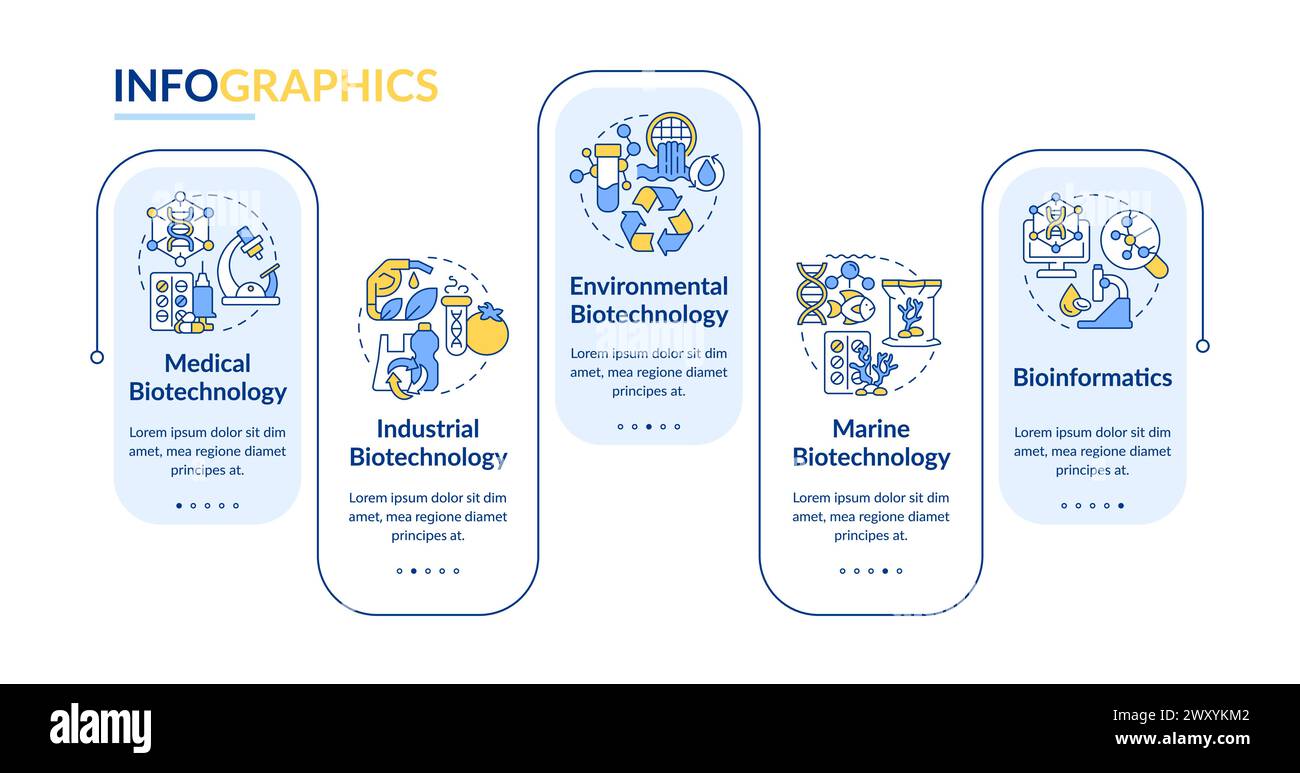 Types of biotechnology blue rectangle infographic template Stock Vector Image & Art - Alamy