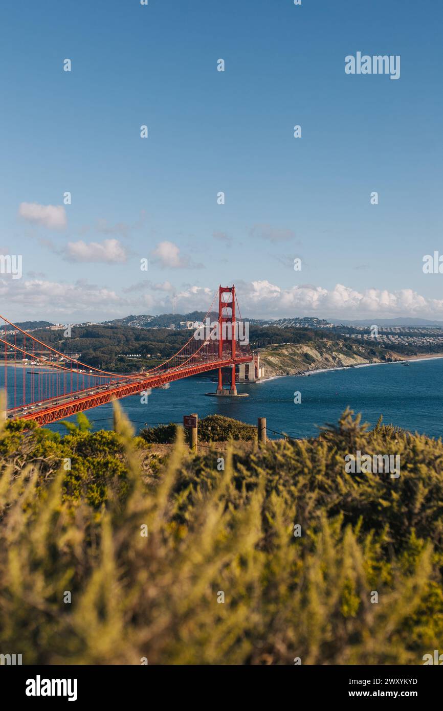 A unique perspective of the Golden Gate Bridge framed by the lush ...