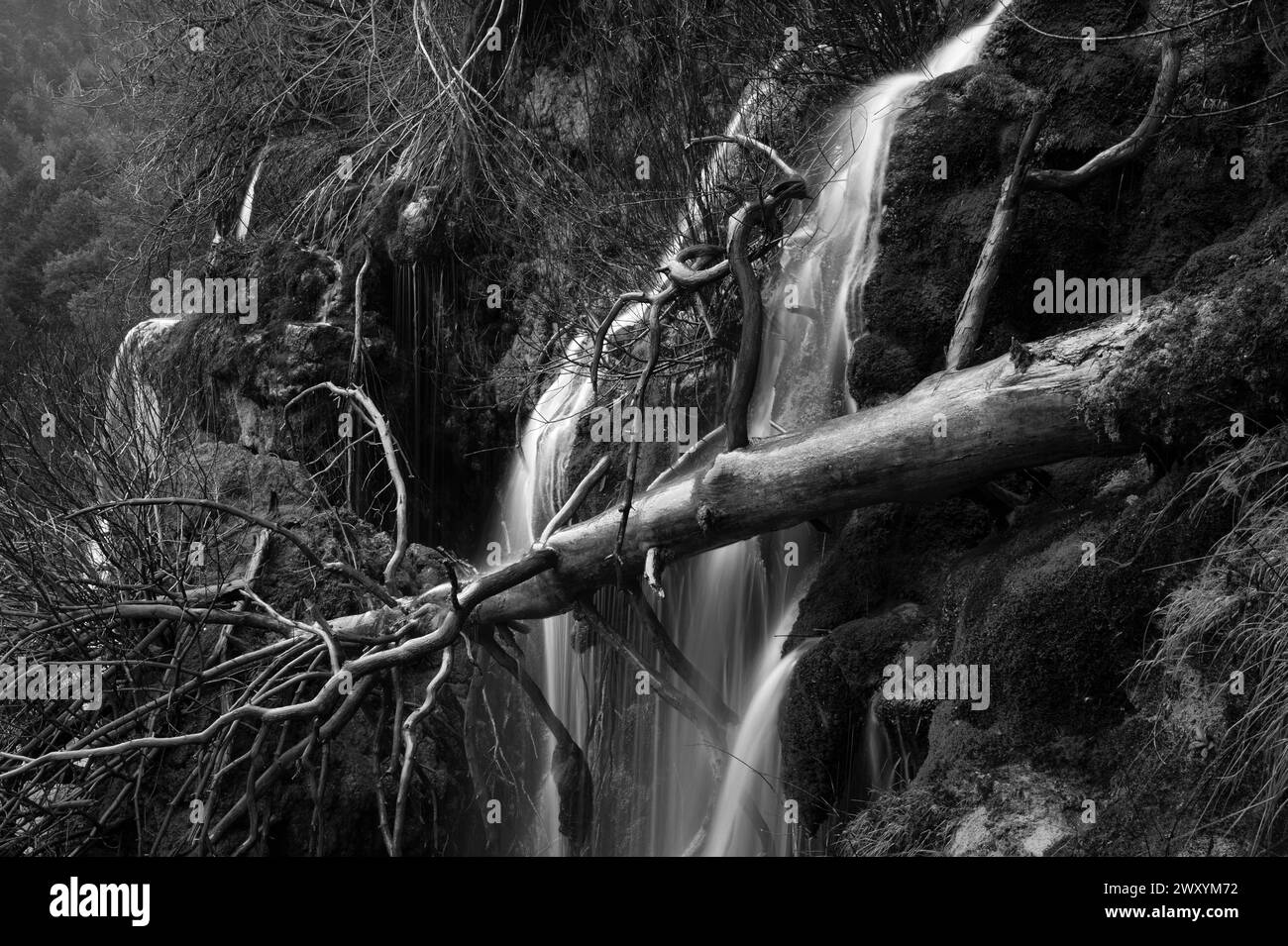 A monochrome capture of the dynamic Rio Mundo Falls framed by a fallen ...