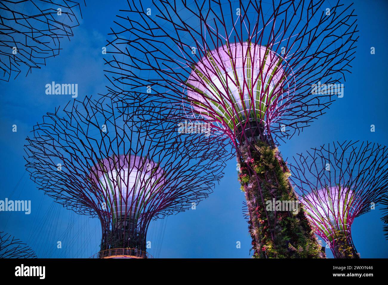 Illuminated futuristic tree-like structures against a twilight sky at a ...