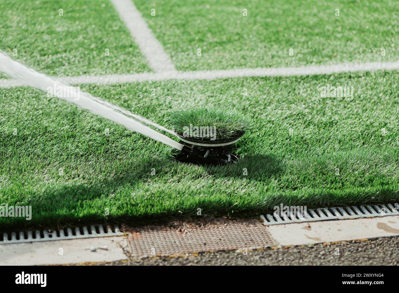 A close-up of a machine brushing artificial turf on a soccer field to ...
