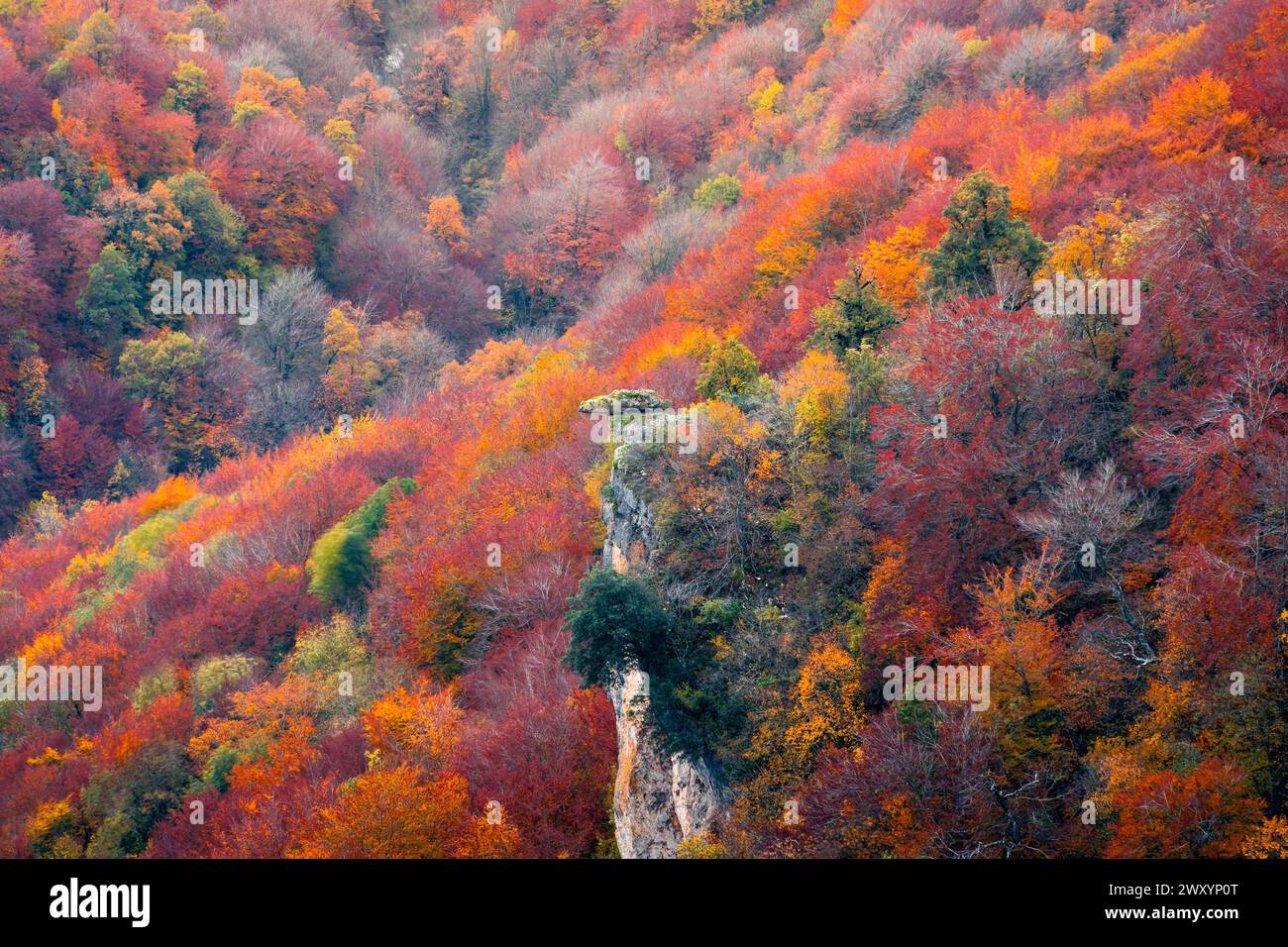 Striking autumn colors drape the cliffside in the Urbasa mountain range ...