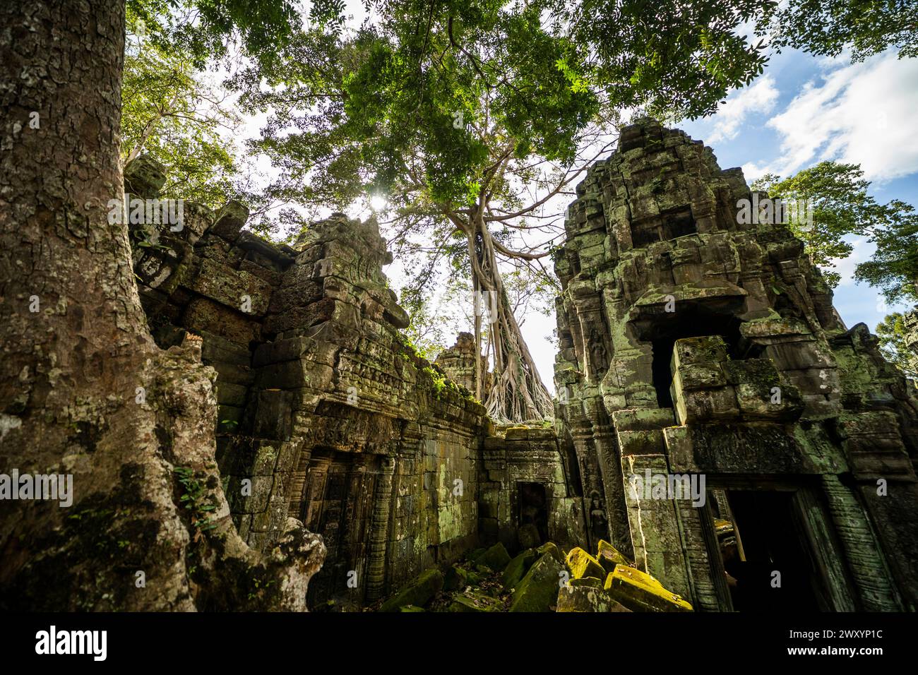Ancient temple moss covered ruins hi-res stock photography and images ...