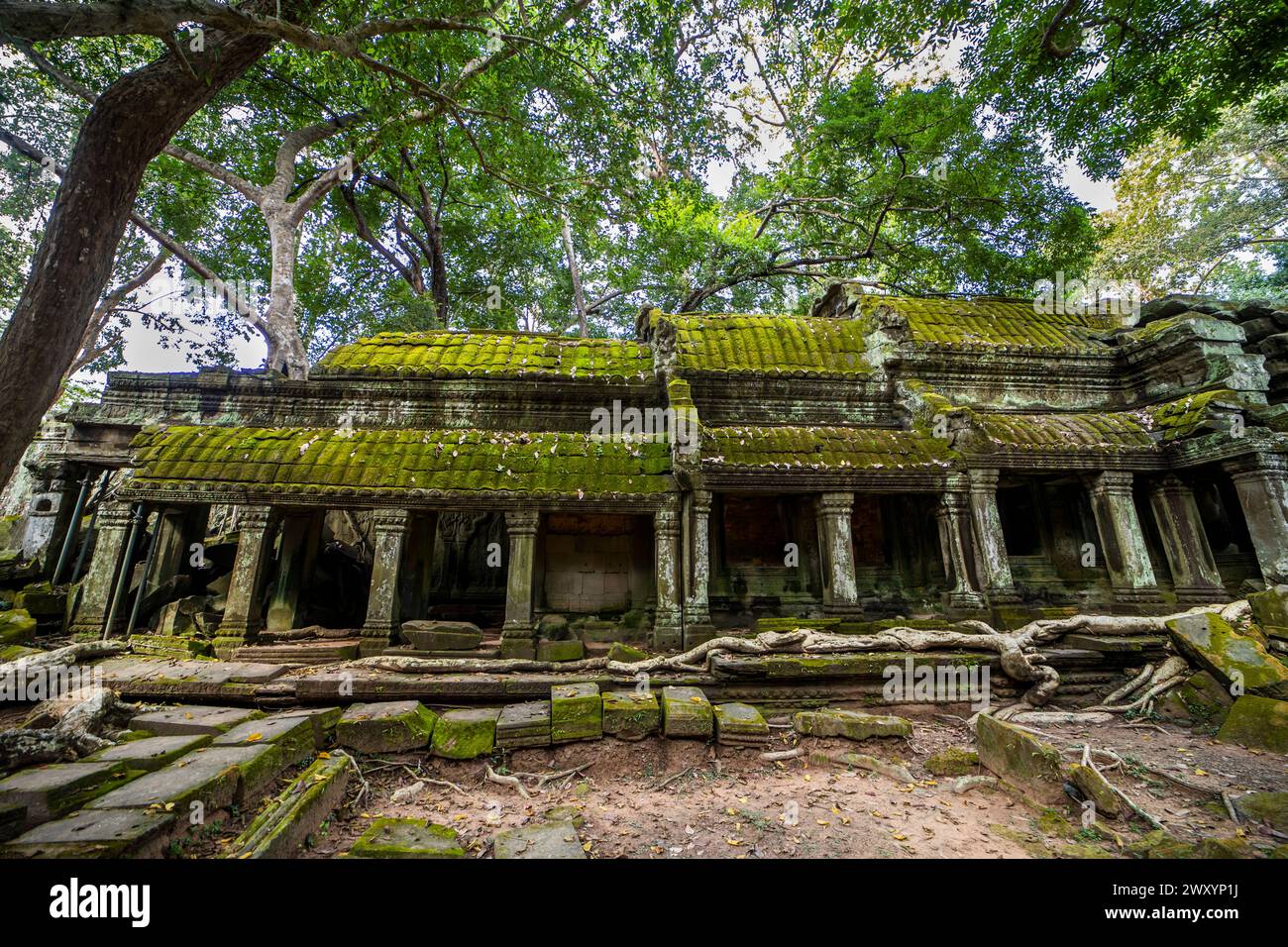 Nature taking over civilization hi-res stock photography and images - Alamy