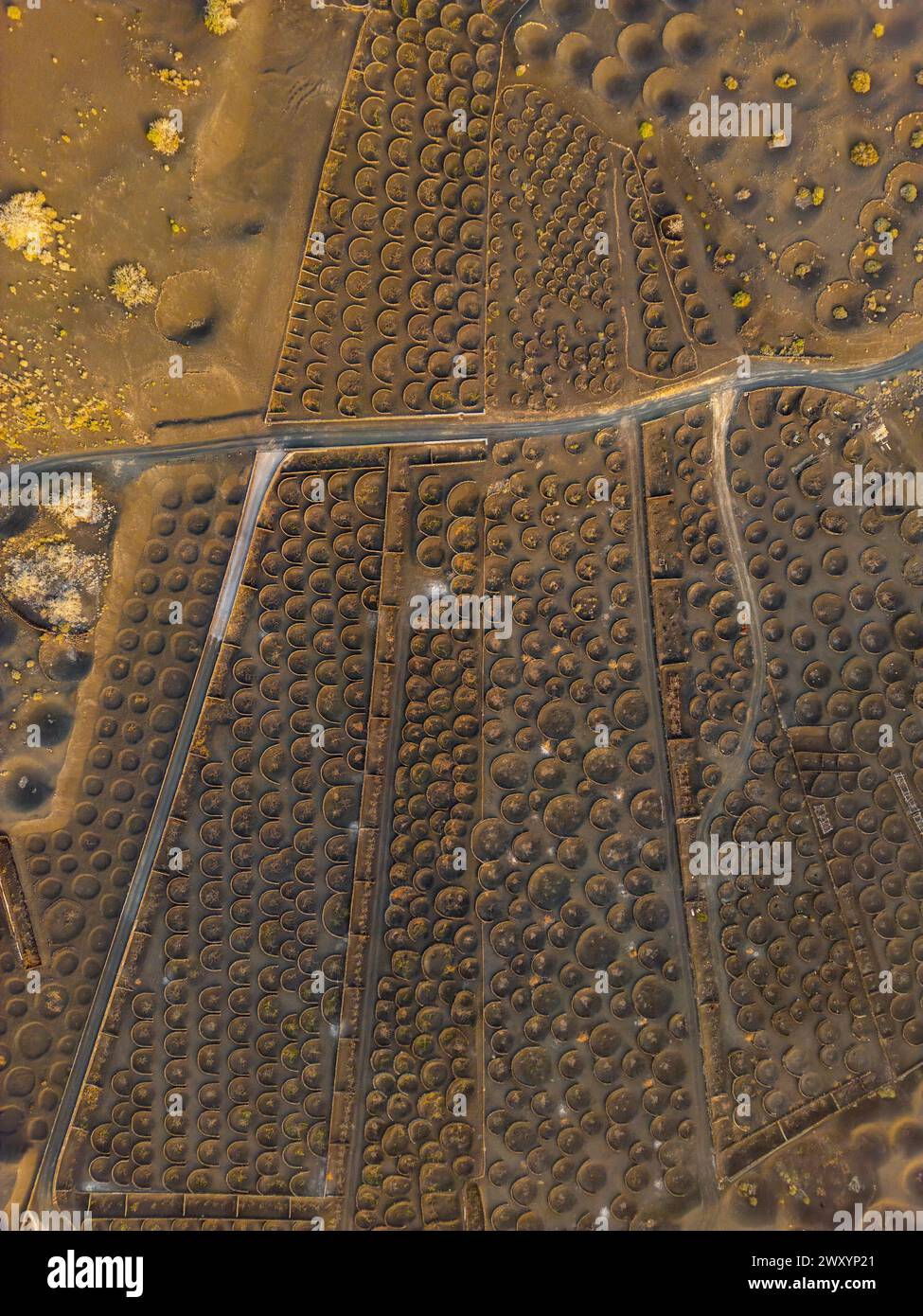 An aerial drone view captures the intricate geometric patterns of ...