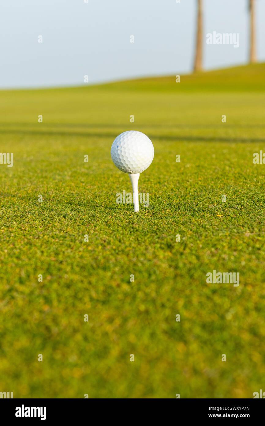 A close-up of a golf ball on a tee, ready for a unique golf session ...