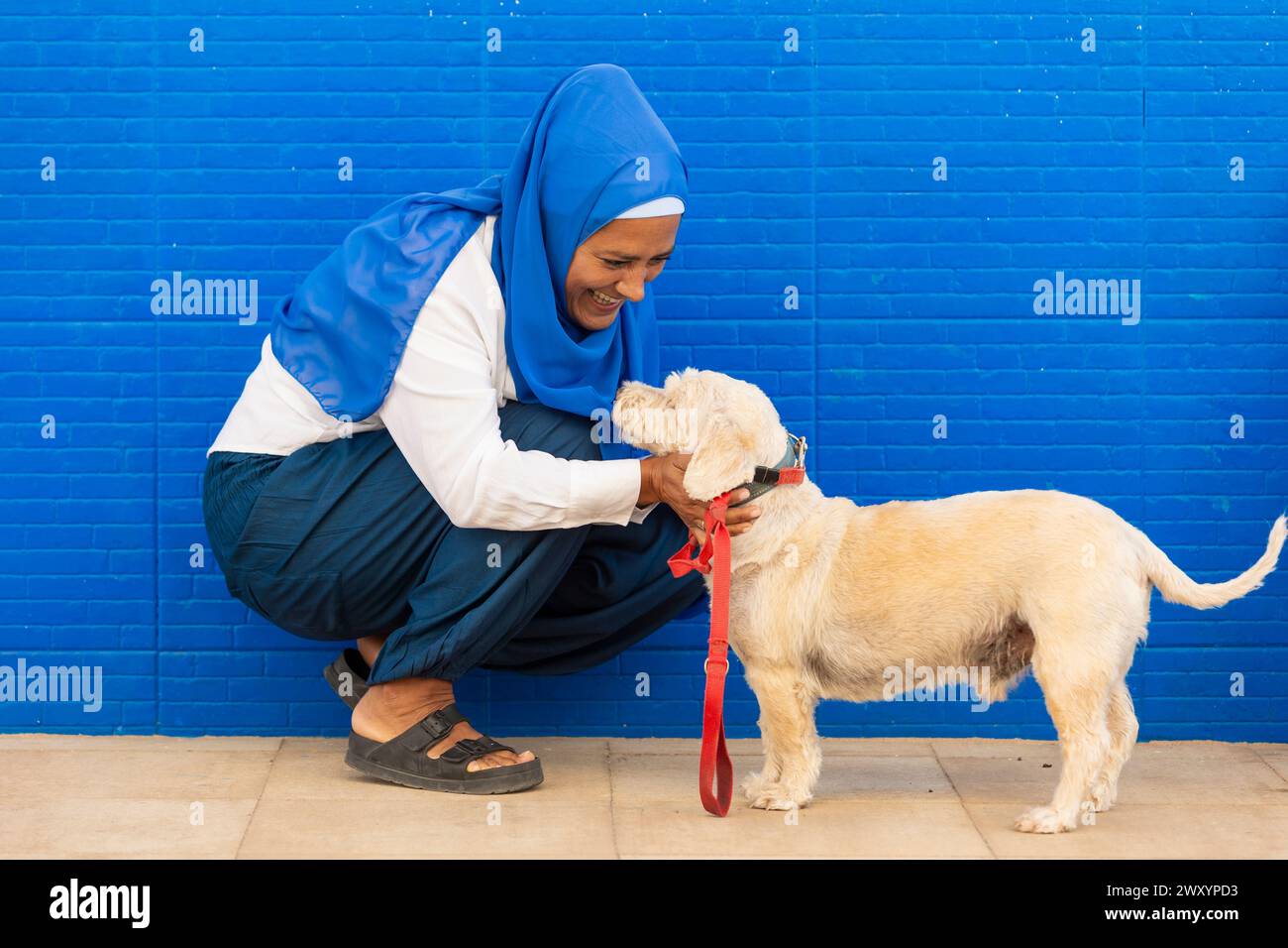A cheerful multiethnic woman wearing a blue hijab is crouching down to ...
