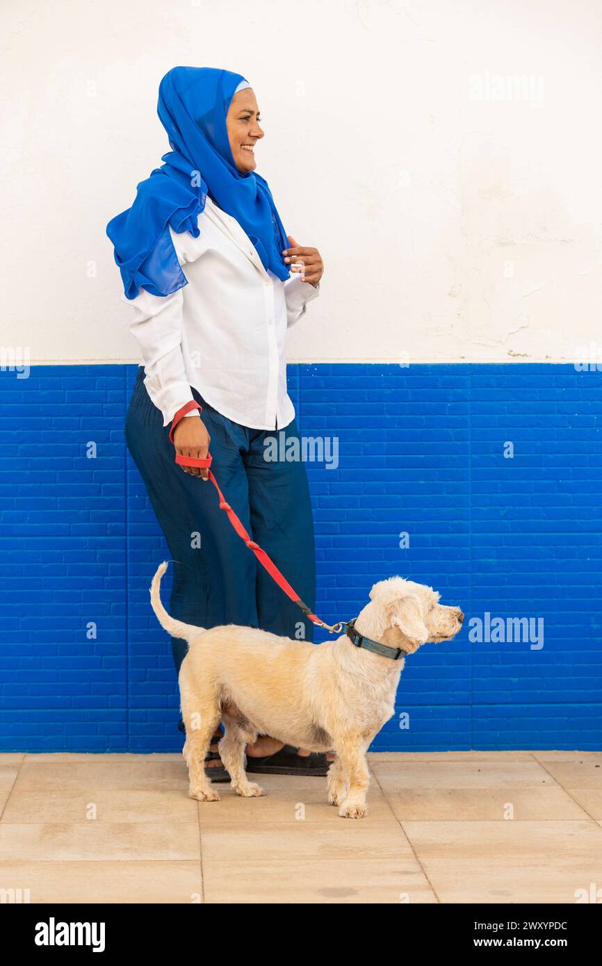 A cheerful multiethnic woman wearing a blue hijab walks her fluffy dog ...