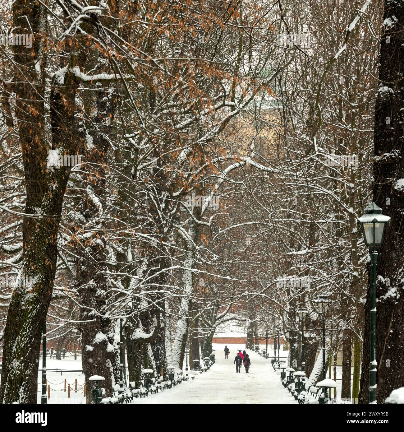 Medieval urban planning hi-res stock photography and images - Alamy