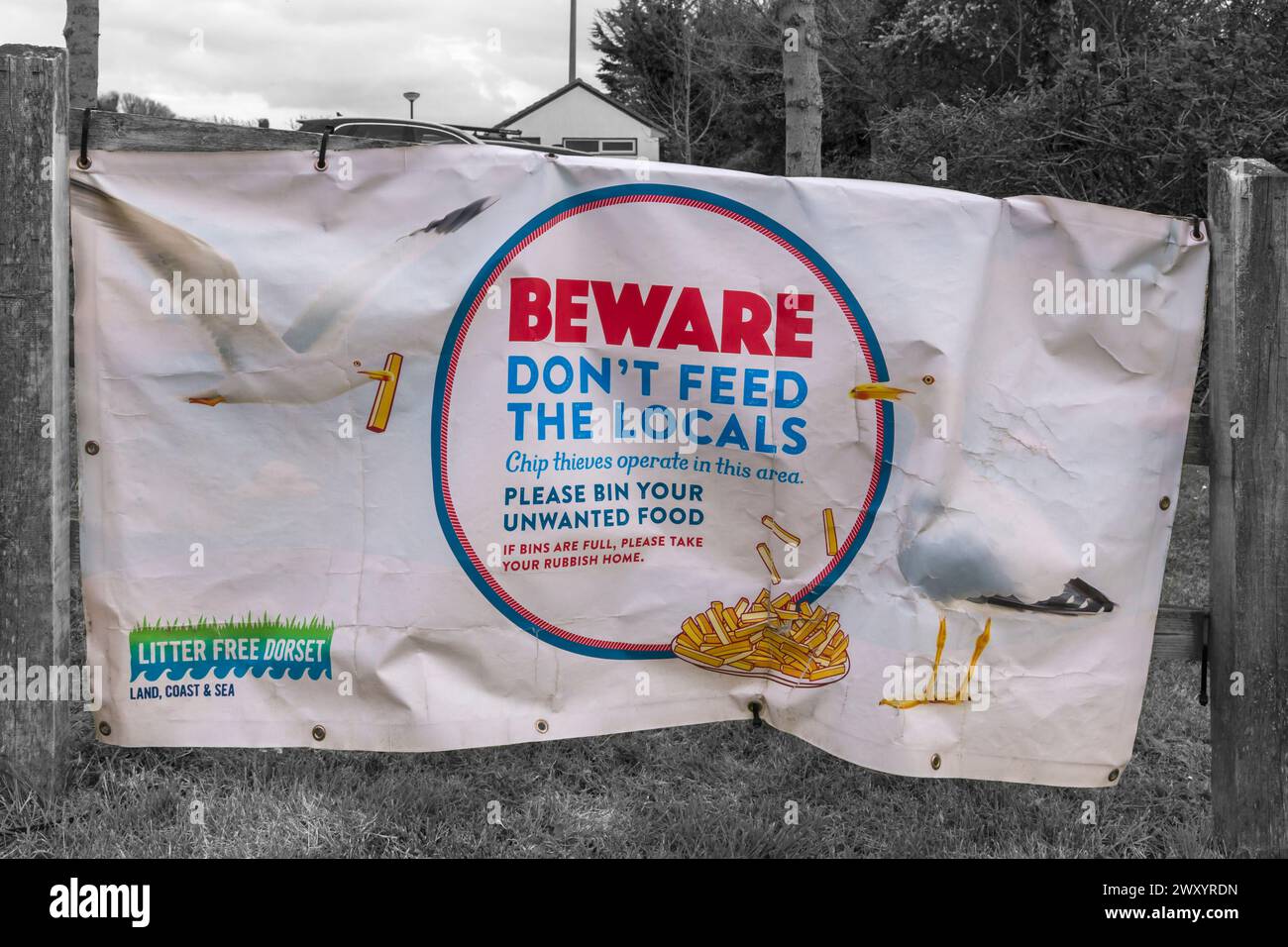 Beware don't feed the locals Chip thieves operate in this area please ...