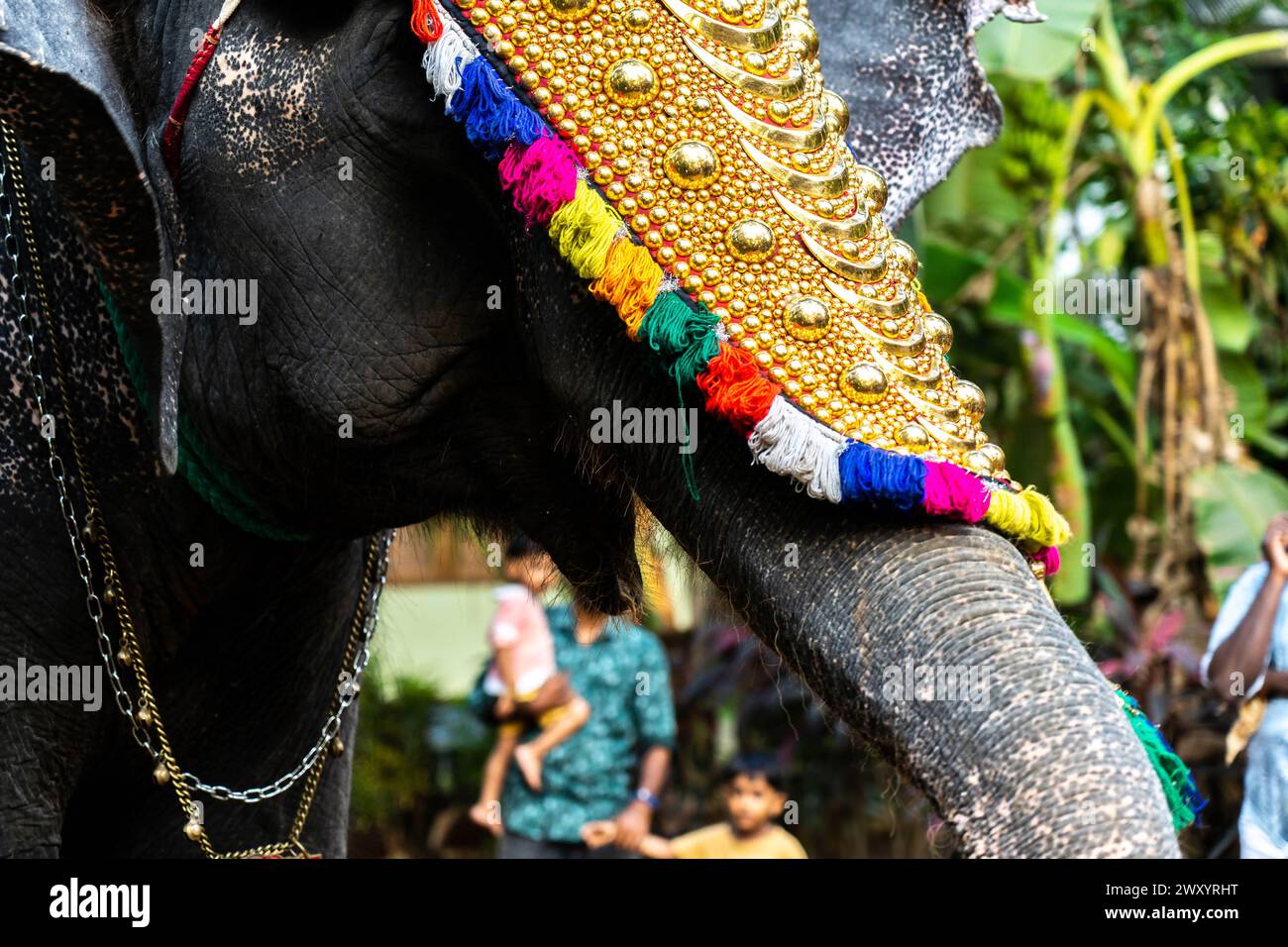 Mattathur, 27, March 2024: Dever temple festival celebration, elephant ...