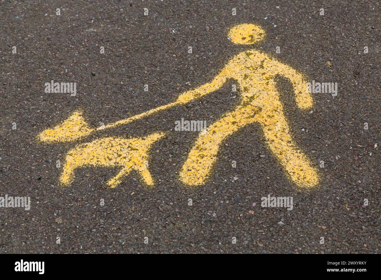 dog walking dog walker sign painted on path at Lyme Regis, Dorset UK in ...